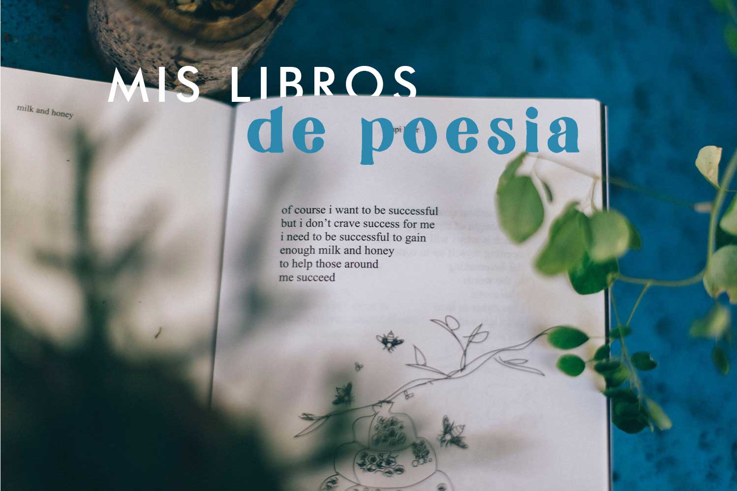 Mis libros de poesía - Cris Arbizzu (Gipuzkoa)